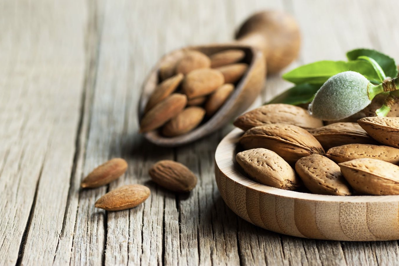 The best healthy nuts: overview - Plantura