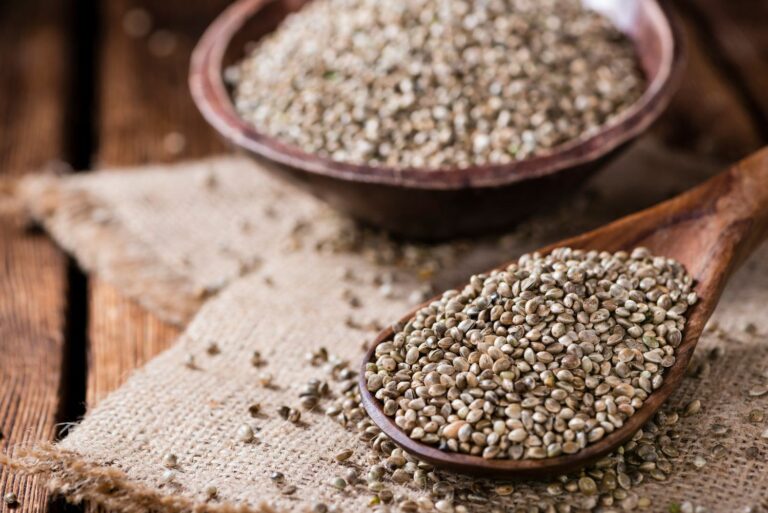 The best healthy nuts: overview - Plantura