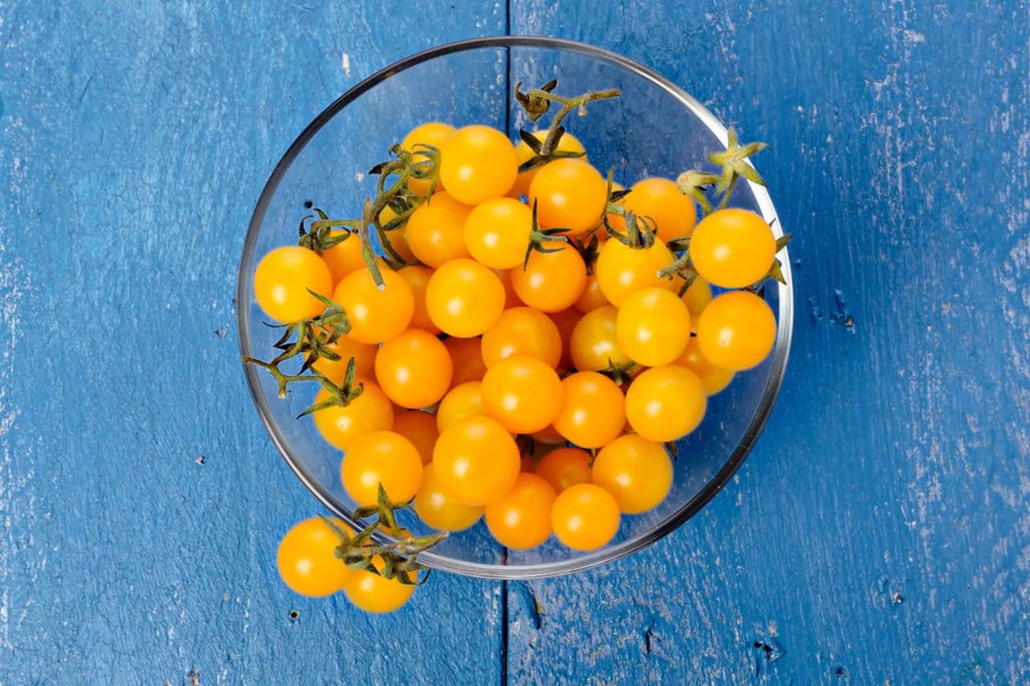 Currant tomato: growing, pruning & more - Plantura