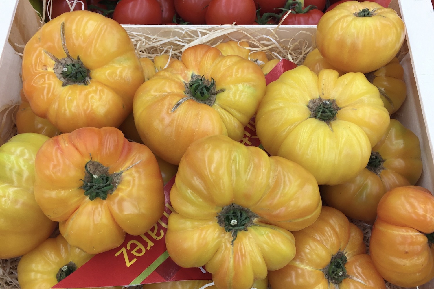 Pineapple tomato: varieties, cultivation & care - Plantura
