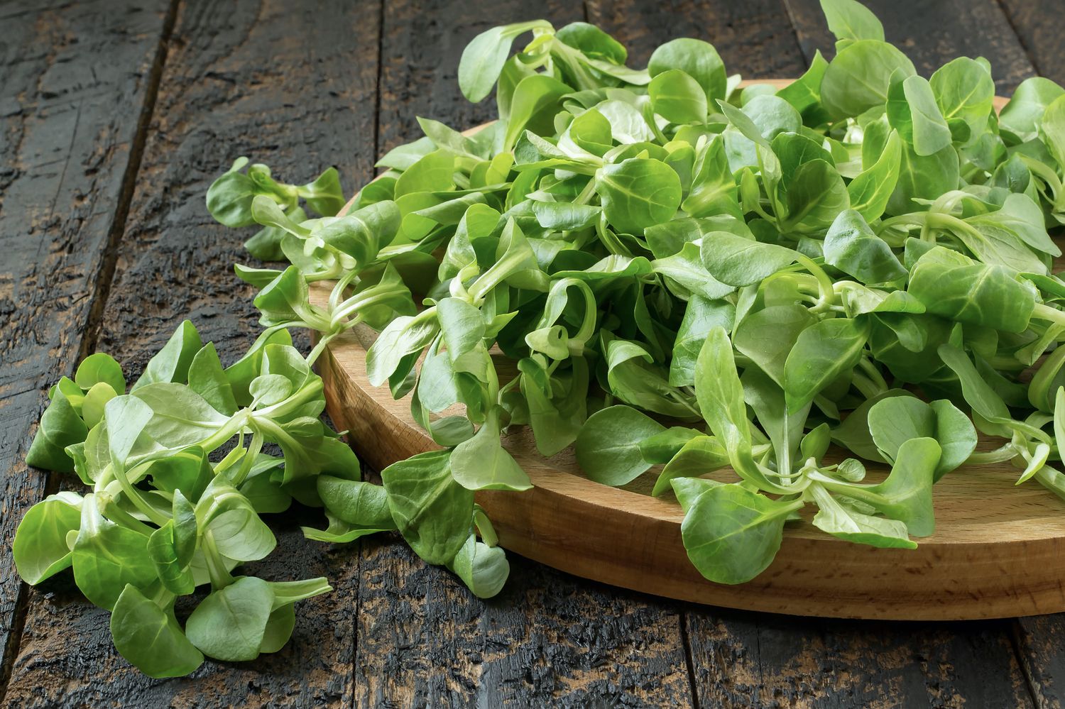 Iron-rich vegetables: 10 vegetables high in iron - Plantura