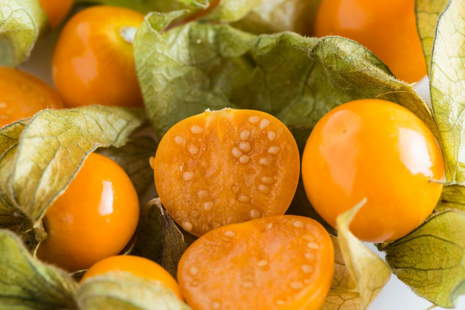 Physalis: types, growing & harvesting - Plantura