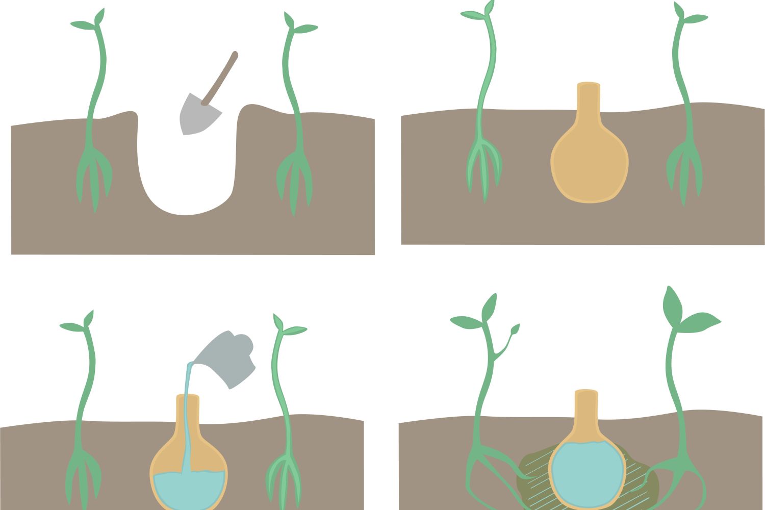 Ollas: how to use an olla to water your plants - Plantura