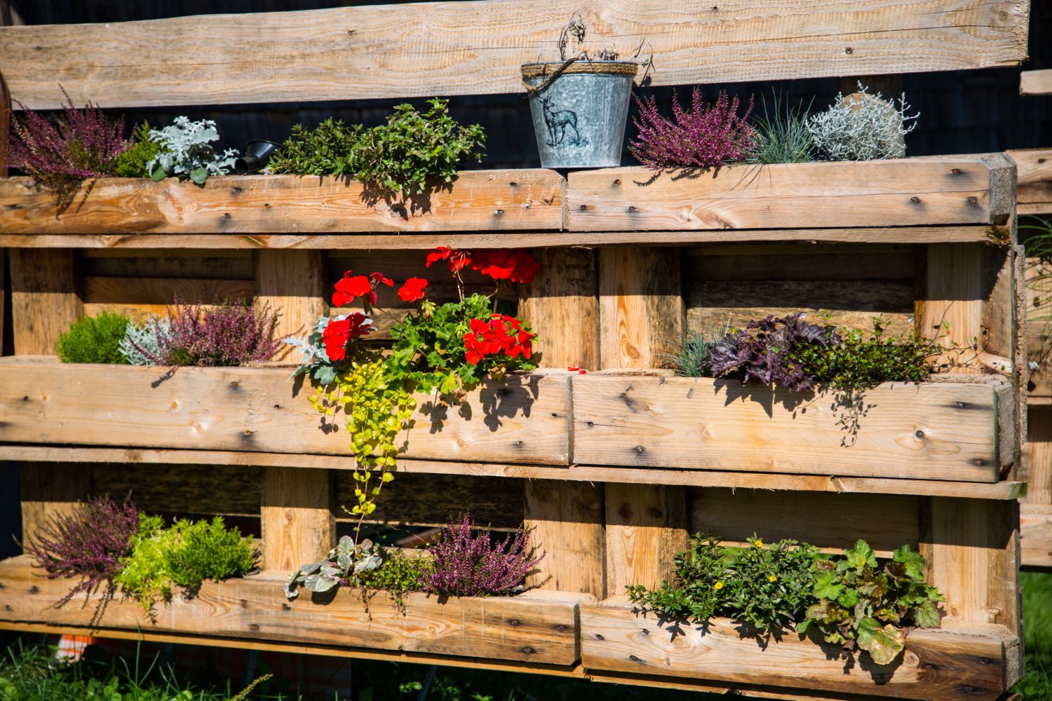 Pallet herb garden: DIY herb pallet planter - Plantura