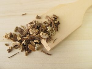 Angelica: varieties, care & uses - Plantura