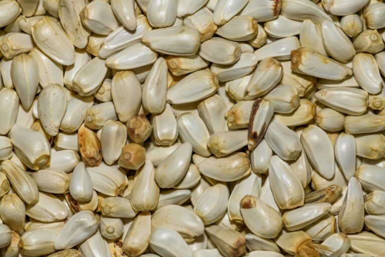 Safflower: benefits, uses & planting - Plantura