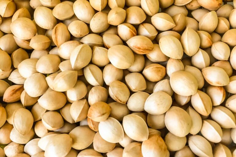 Ginkgo: planting, maintaining & benefits - Plantura