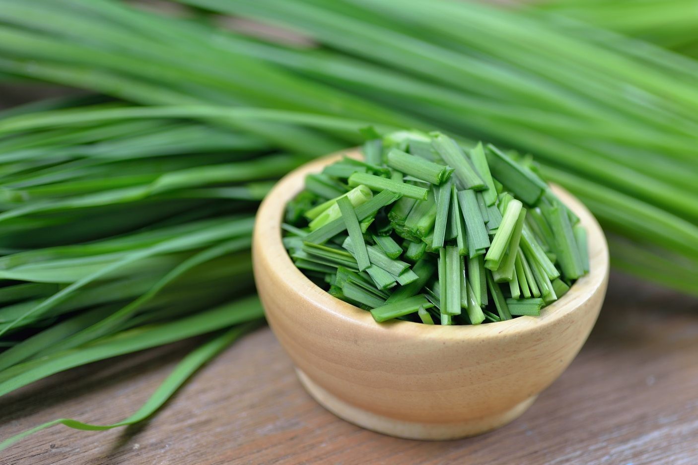 Garlic chives: growing & harvesting - Plantura