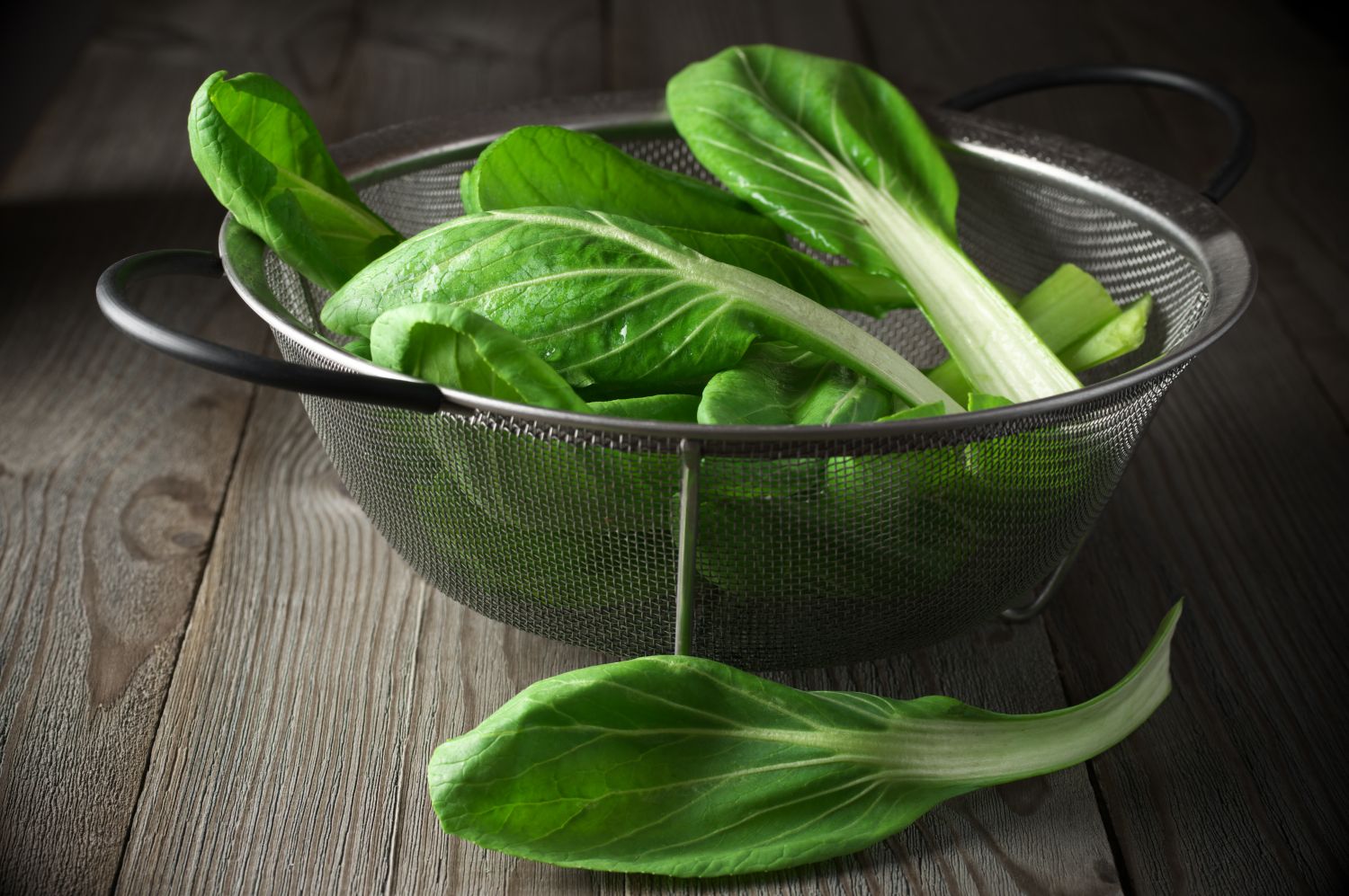 Tatsoi: growing, care & uses - Plantura
