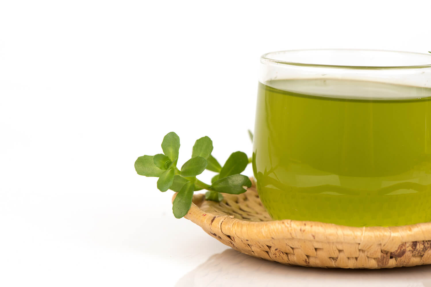 Bacopa monnieri: cultivating and using brahmi - Plantura