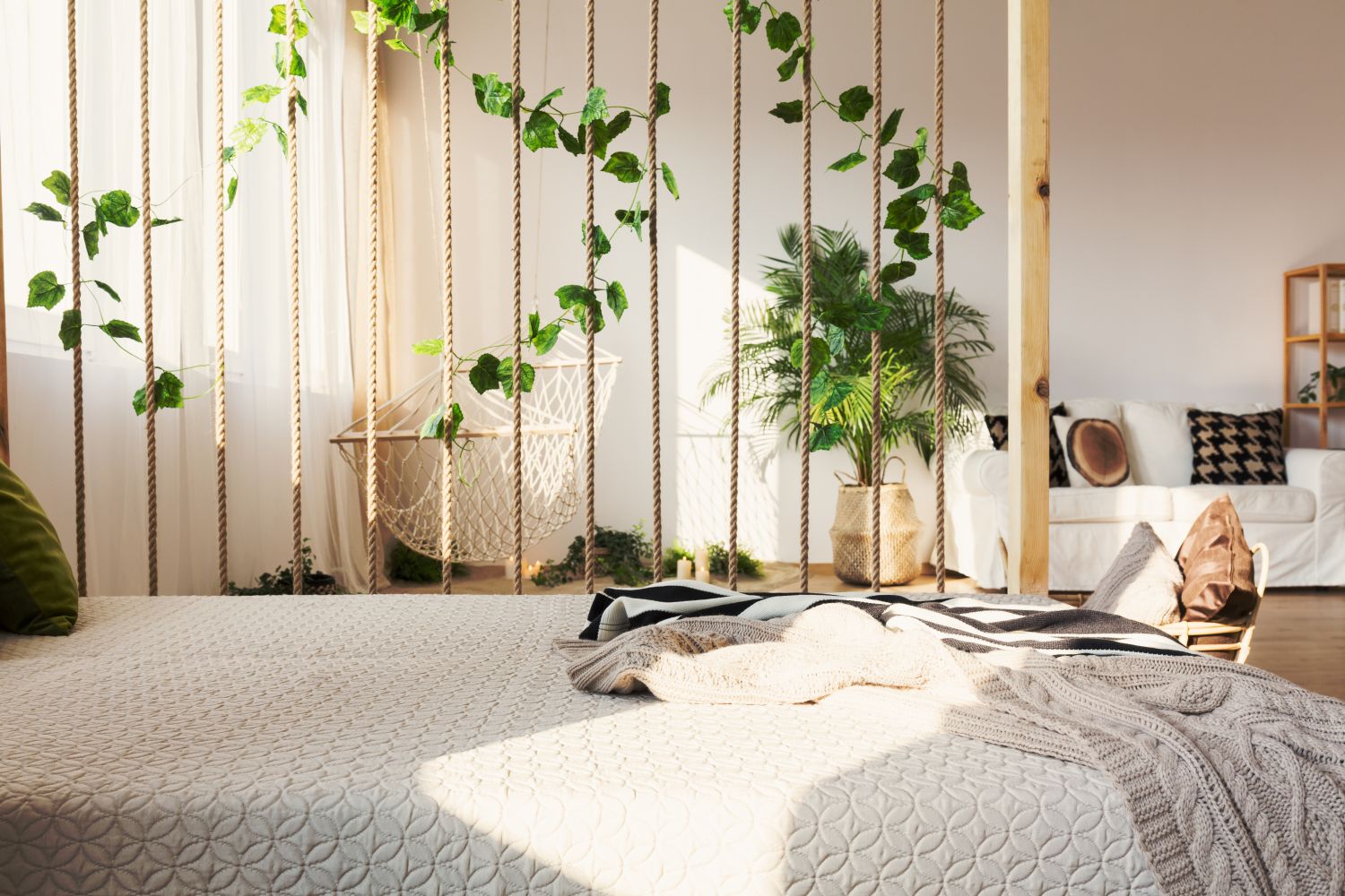 Growing ivy indoors: ivy as a houseplant - Plantura