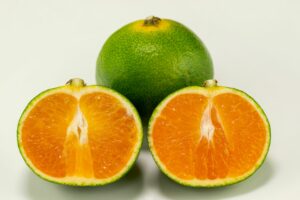 Satsuma: origin, growth & care - Plantura