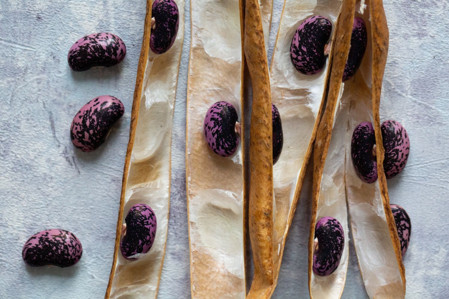 Runner bean: growing, care & harvest - Plantura