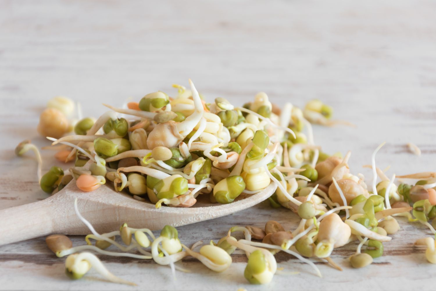 Sprouts: varieties, recipes & health benefits - Plantura