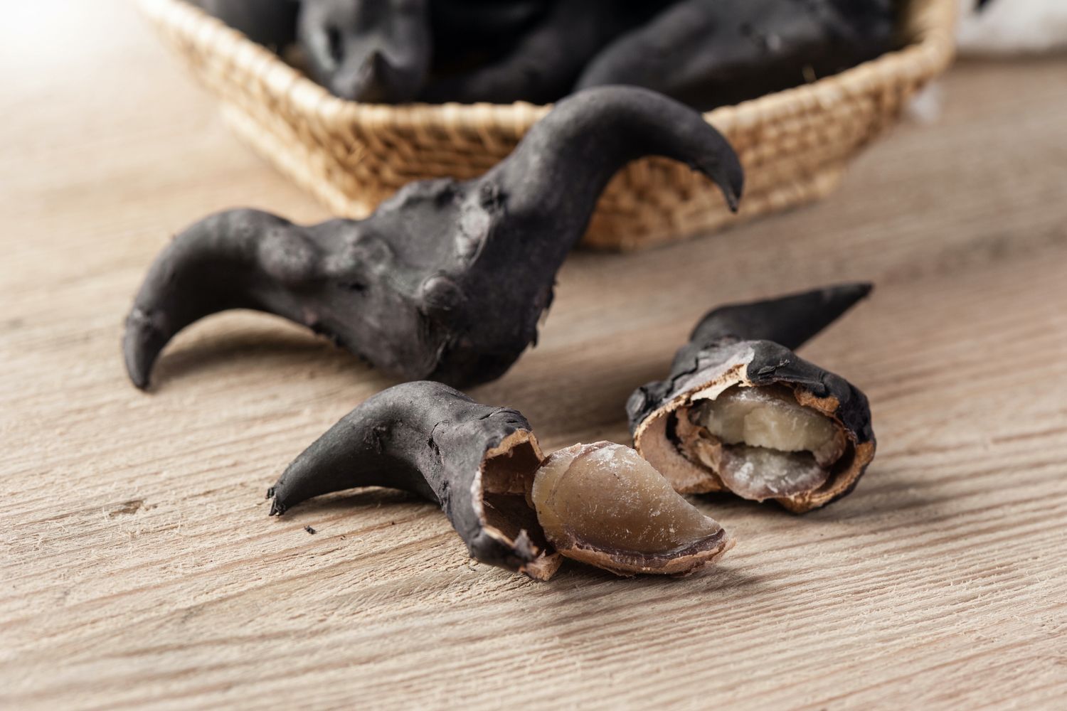 Water caltrop: growing Trapa natans - Plantura