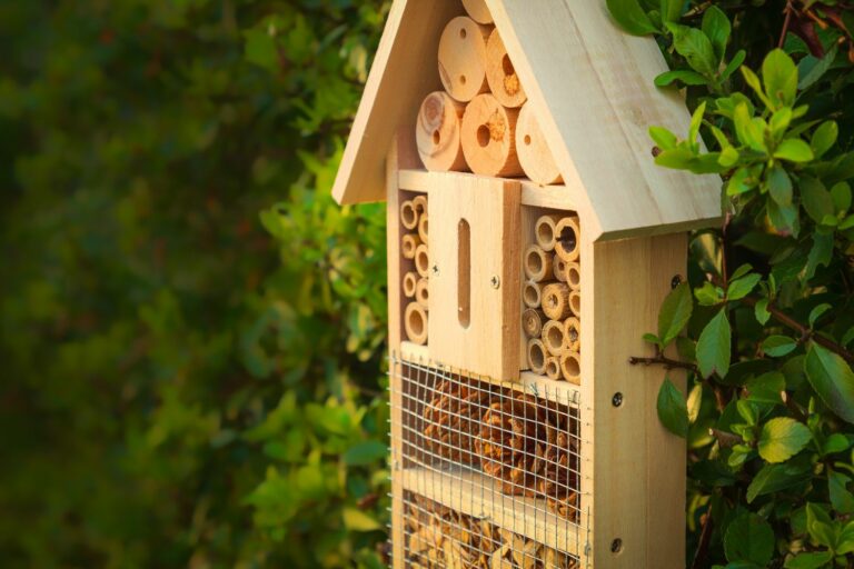 Bug hotel: location, benefits & inhabitants - Plantura