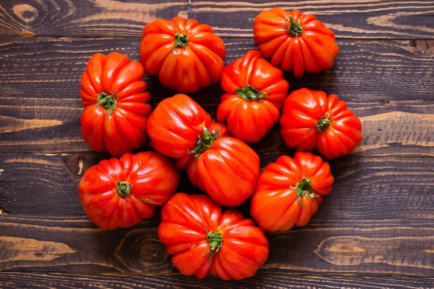 Tomato varieties: the best of new & heirloom - Plantura