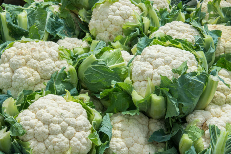 Types of cauliflower: purple, green & white - Plantura