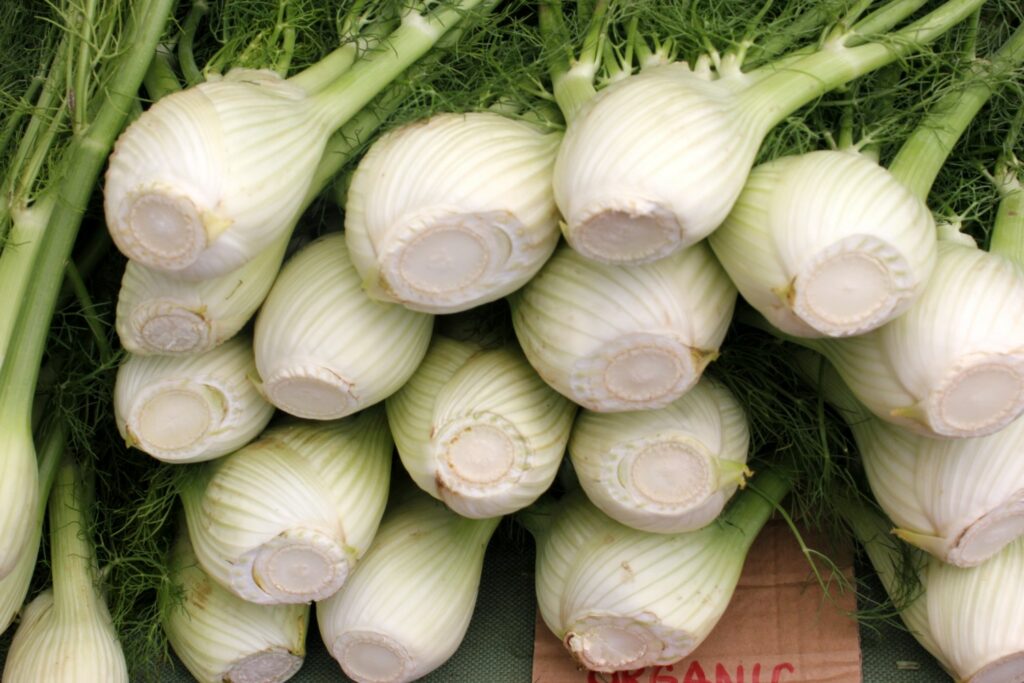 Learn about fennel types, like wild fennel here - Plantura
