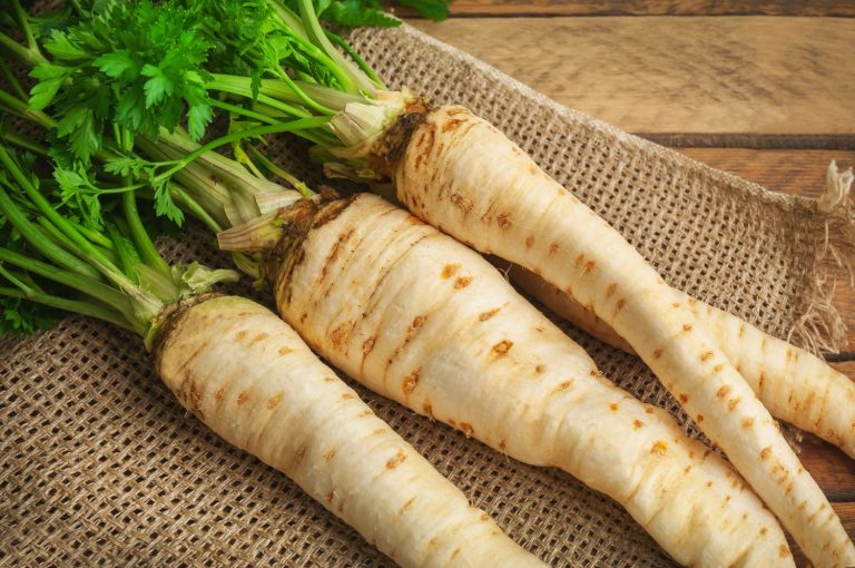 Parsley root: how to grow at home - Plantura