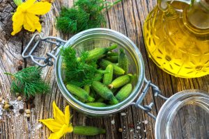 Different types of cucumbers to grow at home - Plantura