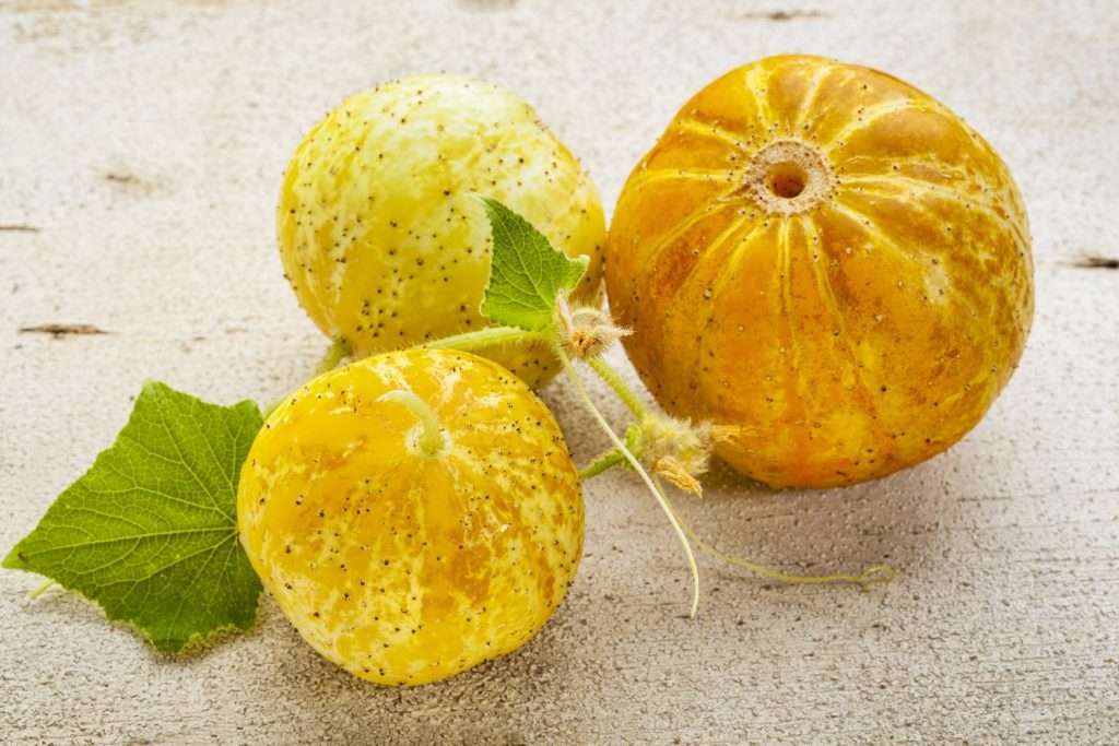 Different types of cucumbers to grow at home - Plantura