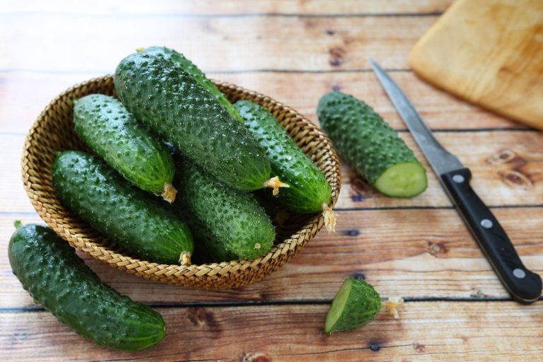 Different types of cucumbers to grow at home - Plantura