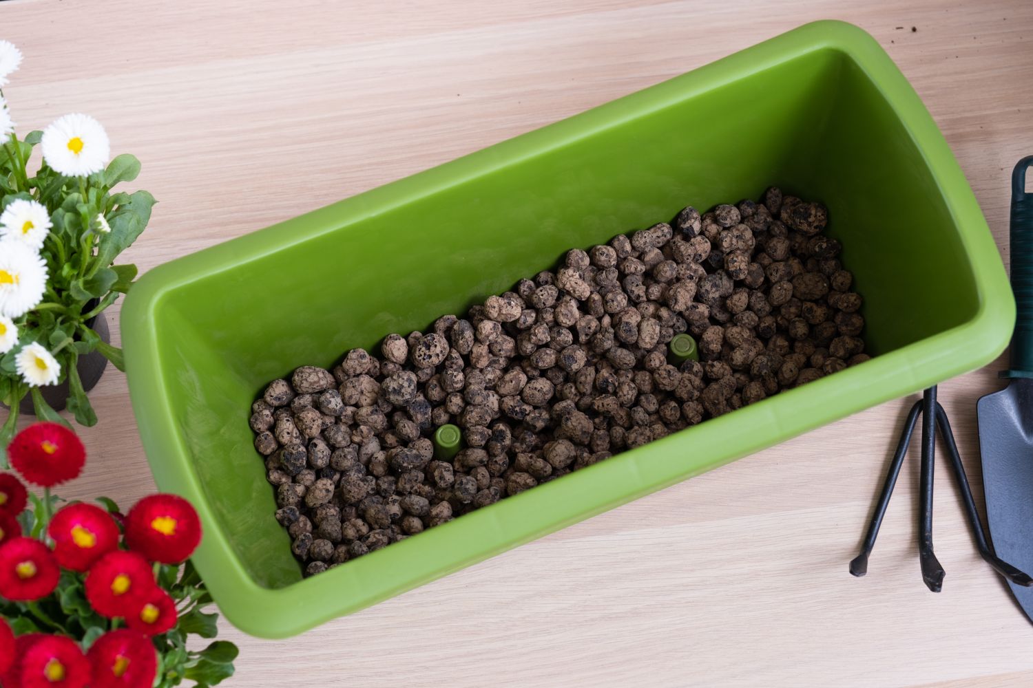 Planting window boxes: tips for balcony gardening - Plantura