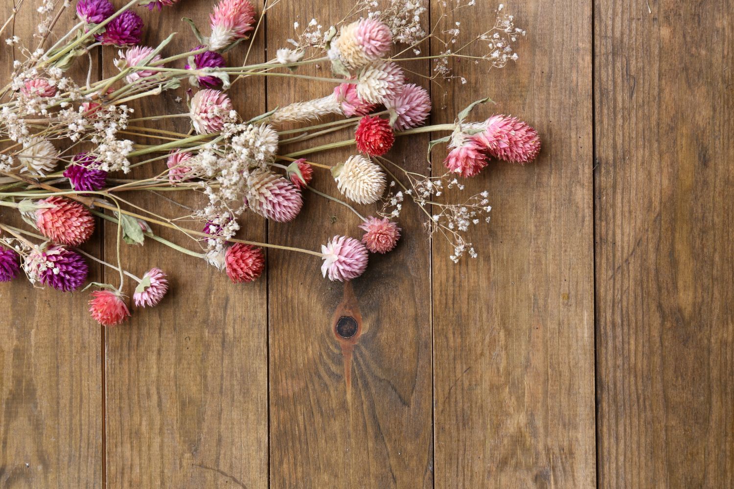 Drying flowers: tips & tricks - Plantura