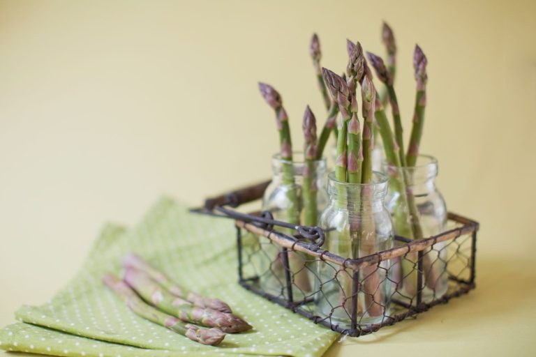 Harvesting, storing & cooking asparagus - Plantura