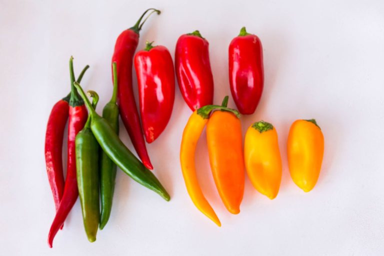Types of chillies: mild & fiery-hot varieties - Plantura