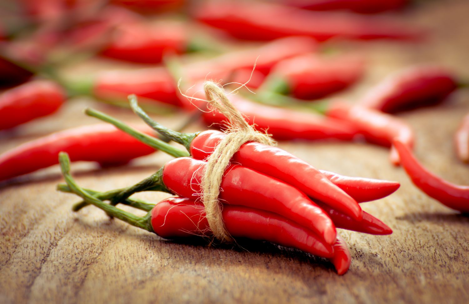 Types of chillies: mild & fiery-hot varieties - Plantura