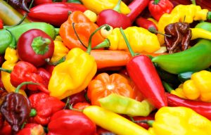 Types of chillies: mild & fiery-hot varieties - Plantura