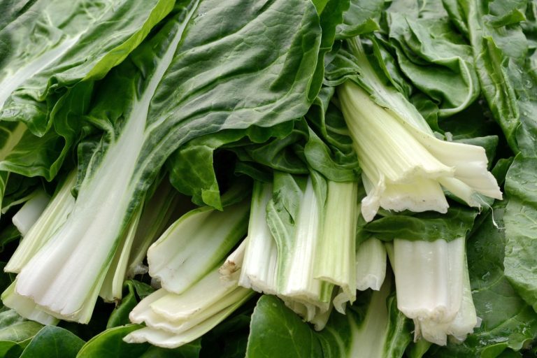 Types of chard: the best chard varieties to grow - Plantura