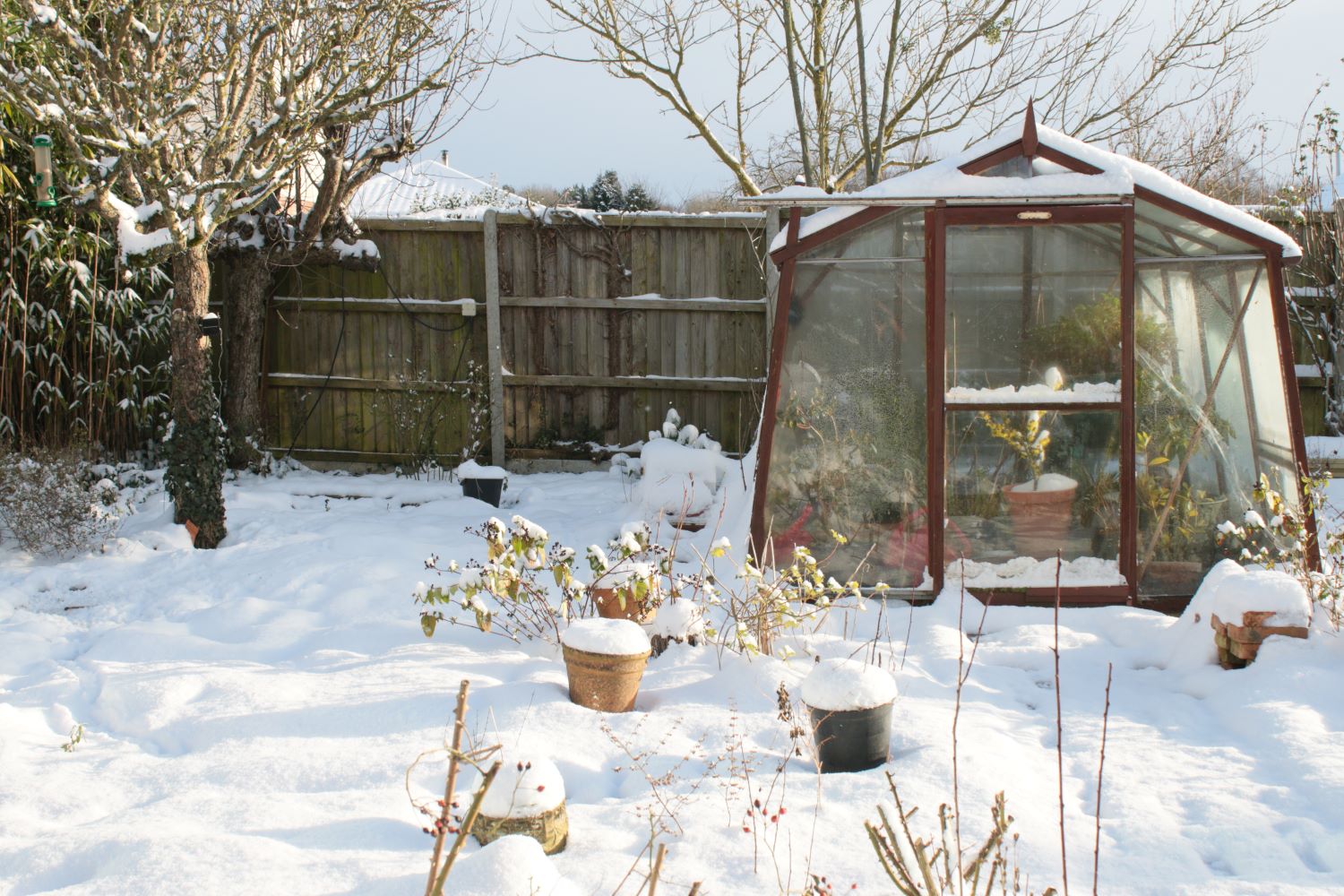 Using A Greenhouse In Winter How To Use A Greenhouse In Winter How